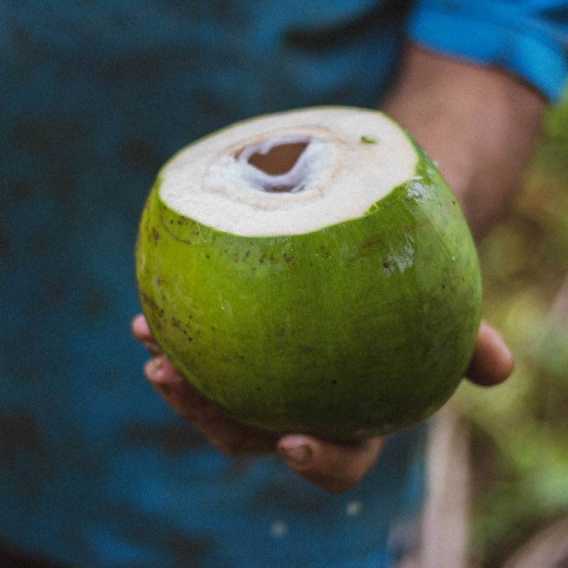 Pura Coco – Superior Coconut Water, Pure & Simple